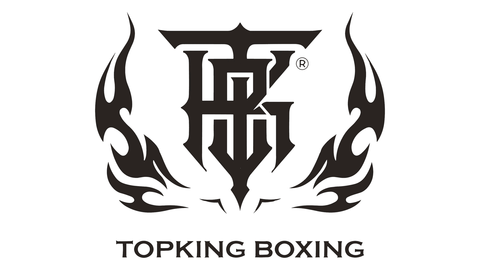 Top King Shinguards - Snake (TKSGSS02) – Muay Thailand